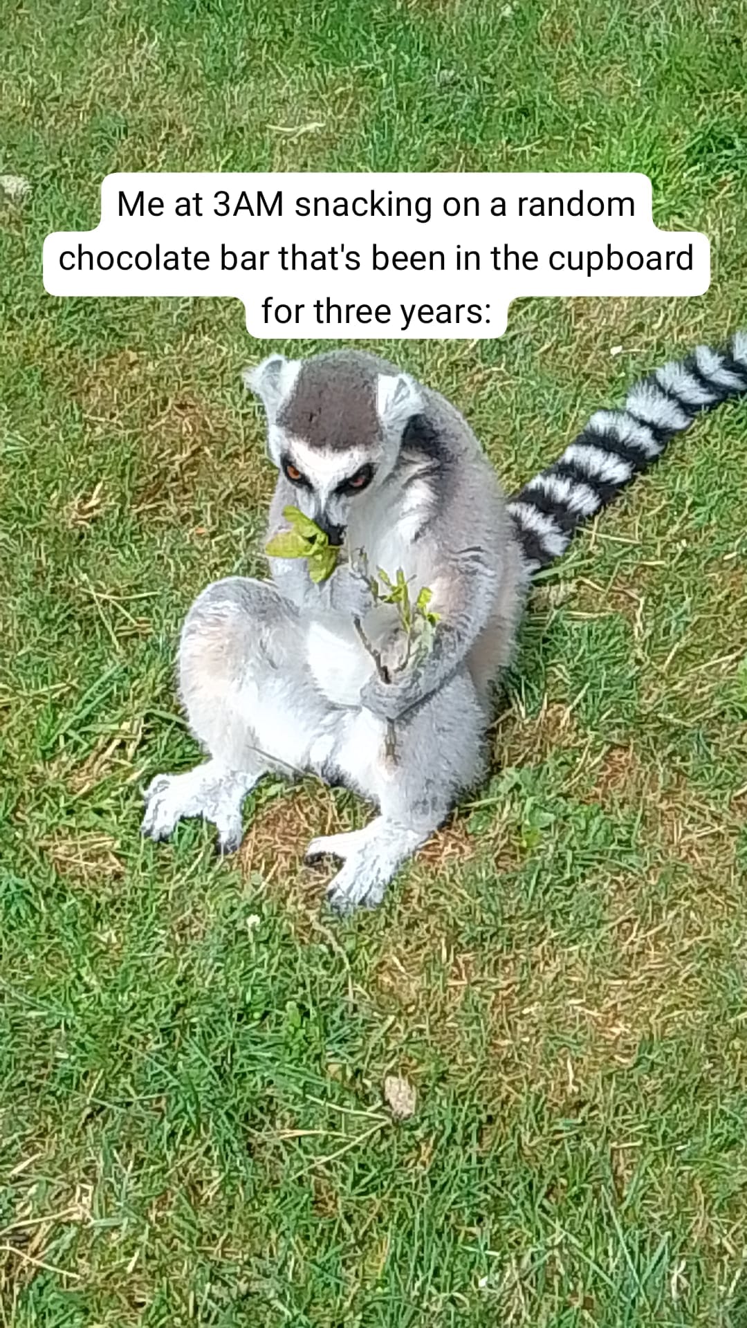 meme number three — Moescape